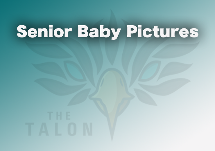 Frankie Webster | Sunlake High School