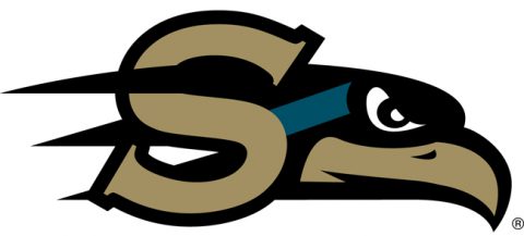 Football | Sunlake High School